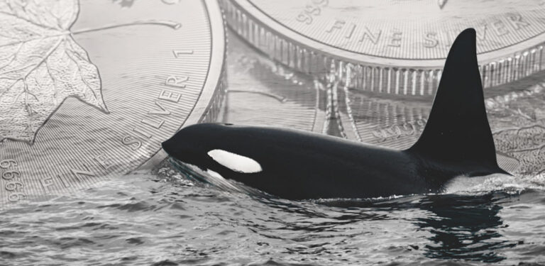 2019 Silver Orca Coins (2oz & 10oz) | Don’t Buy Until You Read This!