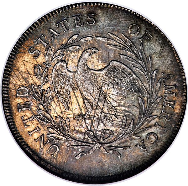 The 1795 Draped Bust Dollar (MS61): A True Artifact of US History ...